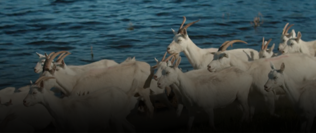 FarmRanger – Livestock Security Collars