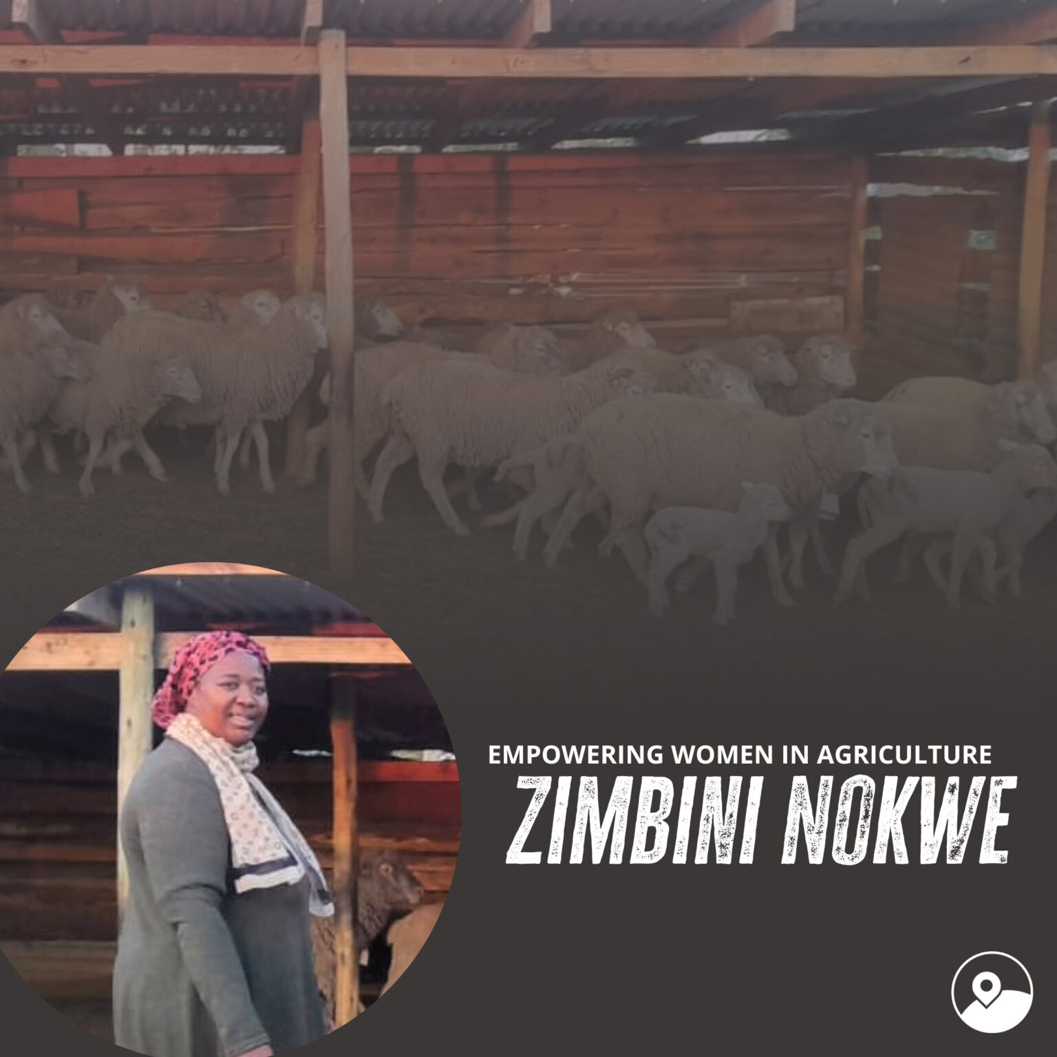 Empowering Women in Agriculture: FarmRanger Collar Safeguards Zimbini ...